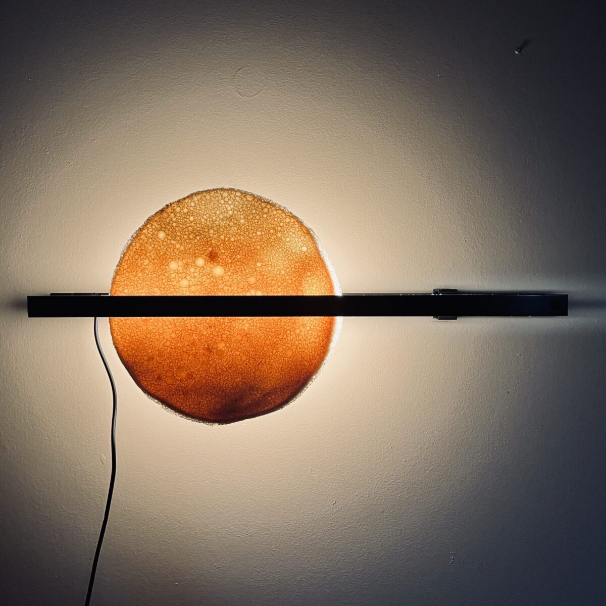 Minqi Gu - Design Show Australia